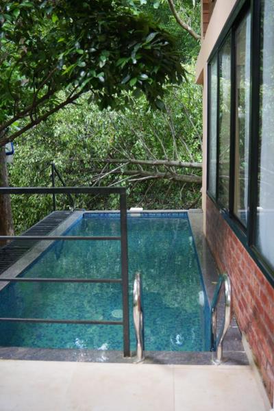 Nutmeg County - Kodagu