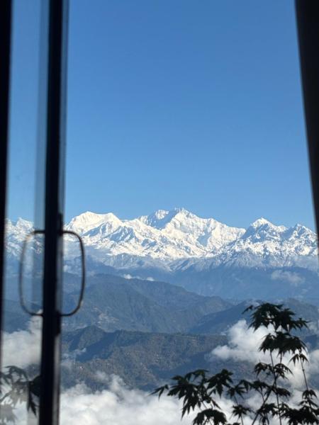 Two Leaf And A Bud - Darjeeling