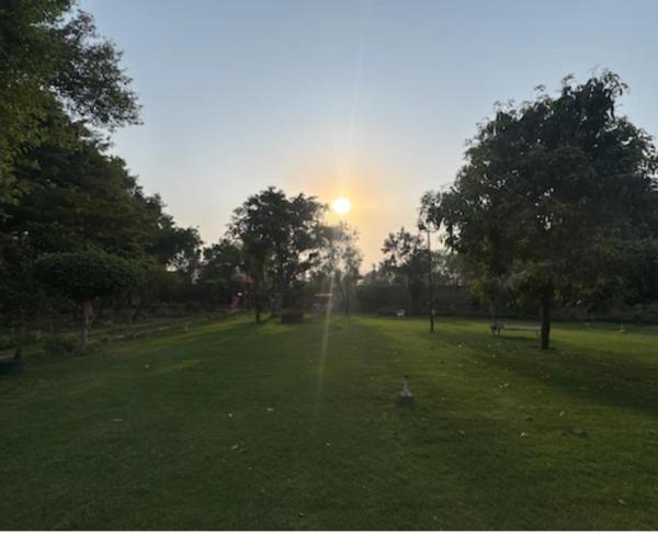 Aaliya Farm House - New Delhi