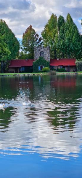 Critchley Hackle - Tower Rooms - Dullstroom