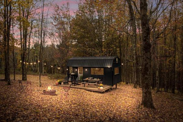 Off-grid Tiny Cabin Retreat With Fire Pit & Forest Views In Bovina, New York - Margaretville, NY