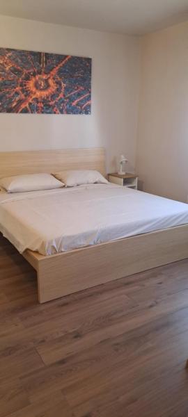 Sweet Camelia - Lucca