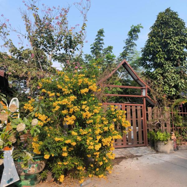 Anna Bungalow Vientiane - 永珍