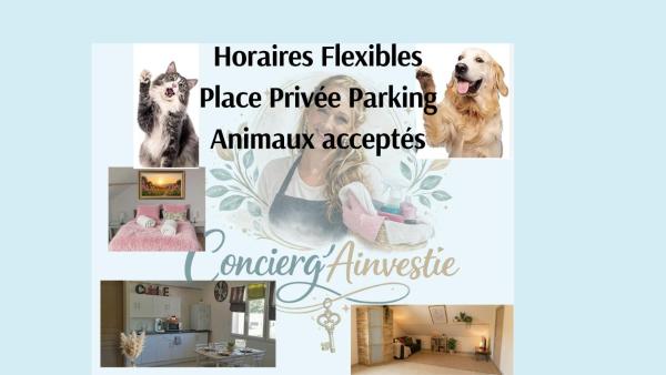 T2 Parking Privé , 15min De Cnpe Et 10min Pipa 4couchages Animaux Ok - Lagnieu