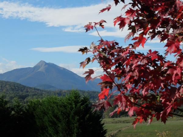 Panorama Sur Les Montagnes, Maison Au Calme - Haute-Garonne