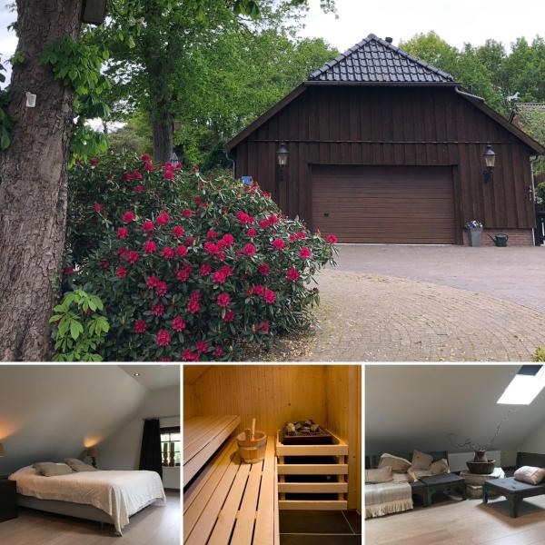 B&b De Drentse Es - Drenthe