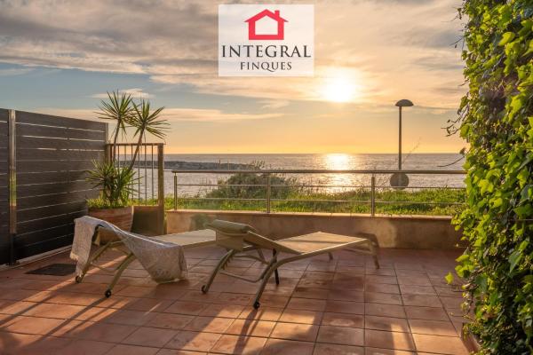 El Galió Palamós - Palamós