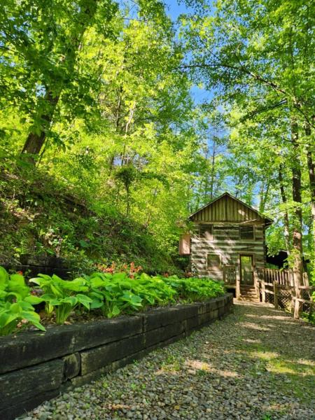 Duck Pond- Daily Bear Visits - Gatlinburg, TN