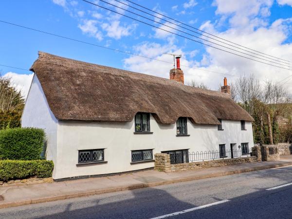 Bridge Cottage - Bridport