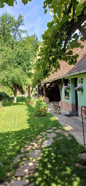 Valchid Guest House - Alma, Romania