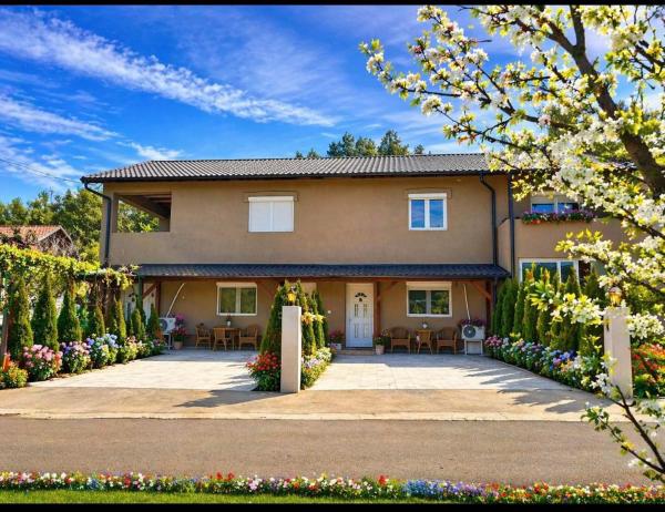 Nada Zoran - Kladovo