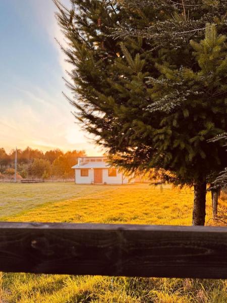 La Ovejera Cabaña - Panguipulli