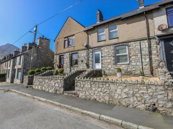 Bythynnod Newydd - Gwynedd