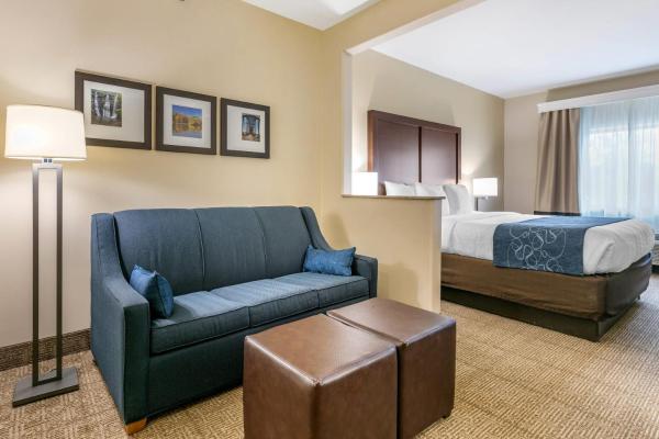 Comfort Suites Batesville - Arkansas