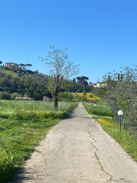 La Camera Nel Verde - Florencia