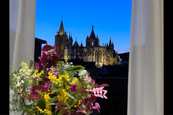 Vistas Al Eclipse Solar Y A La Catedral! El Mirador De San Guillermo - León