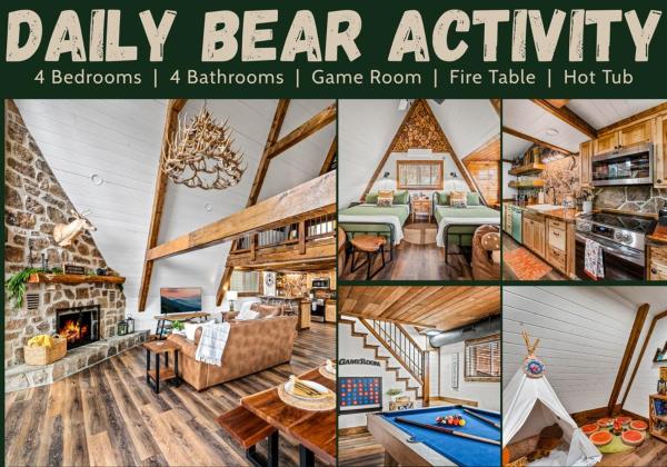 High Bear Activity, Handicap Ramp, Hot Tub, Fire Table, Game Room, Family Cabin - Tennessee