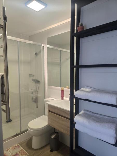 Depto Centro De Temuco - Temuco