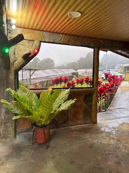 Domo Zuri - Costa Rica