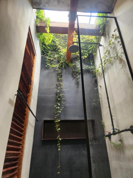 Mango Soul - El Salvador