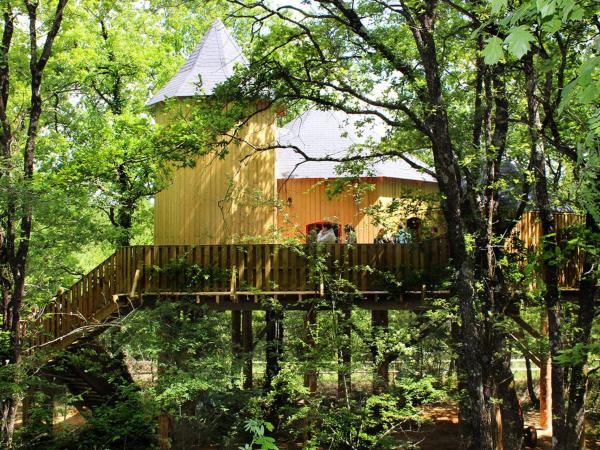 Cabane Dans Les Arbres, Animaux Ok - 10 Pers. - Api-1-52-2494 - Poitiers