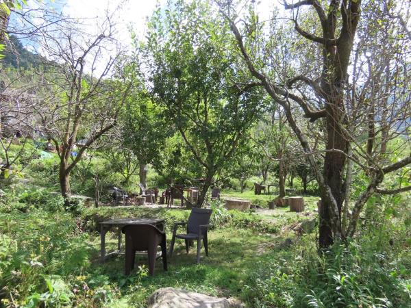Jibhi Garden Heritage Home Stay - Jibhi