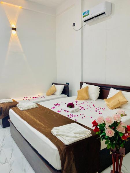 Calm Night Surf Stay - Sri Lanka