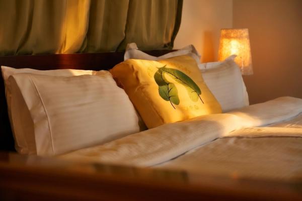 Rkpo Green Resort-gangtey - Bhutan