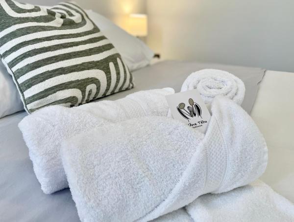 Lane Têtu - Rhône-Alpes