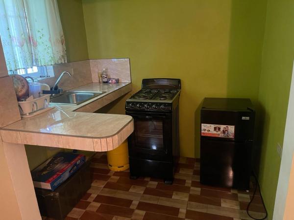 Roots Palm Rooms - Negril