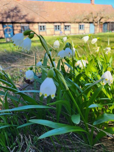 Torseke Hostel - Kristianstad