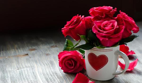 Elora Prestige - Province du Hainaut