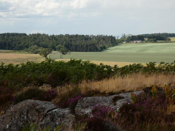 Rural Retreat -Red Lion Cottage - United Kingdom
