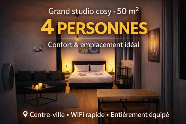 Studio Cosy - Hypercentre - Calme - 50m2 - Wi-fi - Graulhet