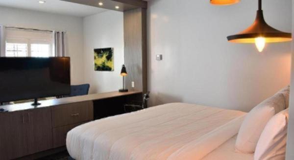 Hotel Bella - Houston, TX