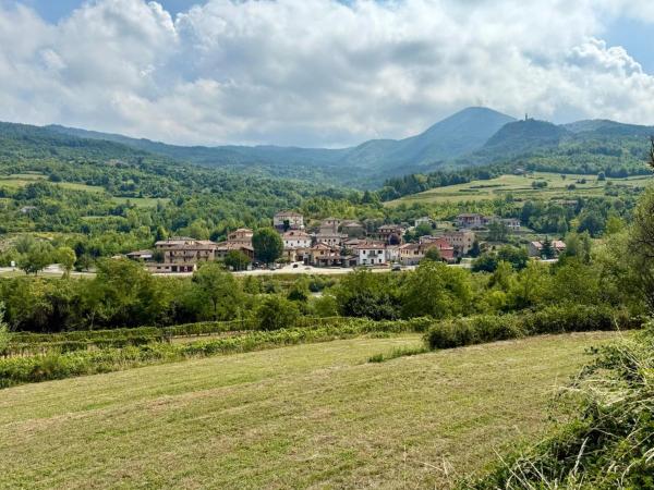 Panoramic Apartment Among The Oltrepò Vineyards - Bobbio