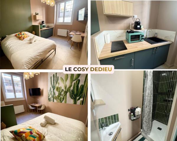 Studio Cosy & Calme Accès Lyon En 5min Lumineux - Saint-Cyr-au-Mont-d'Or