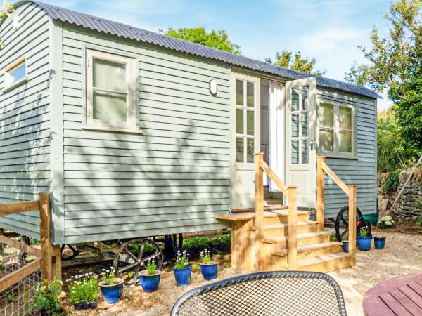 Fig Tree Shepherds Hut - Cottage - Bridport