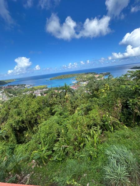 876 Views - Port Antonio