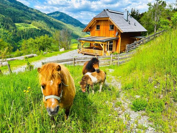 Lärchenhaus ,,Unterer Brodl" - Murau