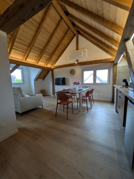 La Charmante Remise D'alsace - Appartement Le Chalet - Rust