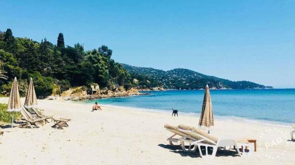 Les Jonquilles - Le Lavandou