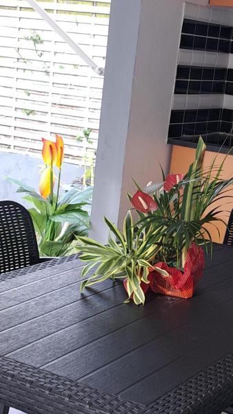 Résidence Fleur De Lys - Guadeloupe