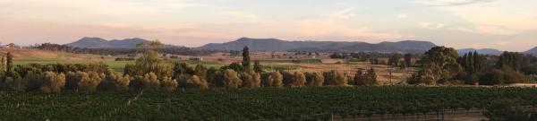 Tranquil Vale Vineyard - Lochinvar