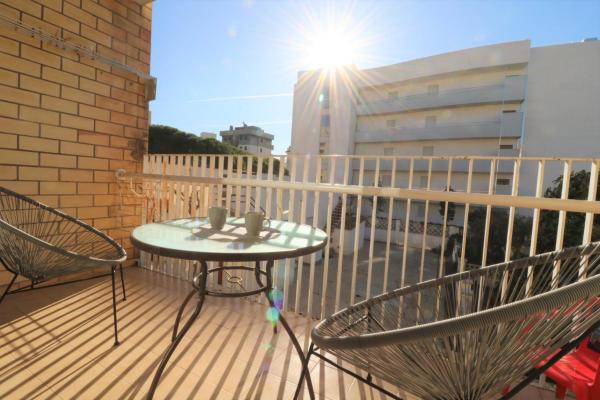 Olympia Rosas Roses Interimmo - Roses