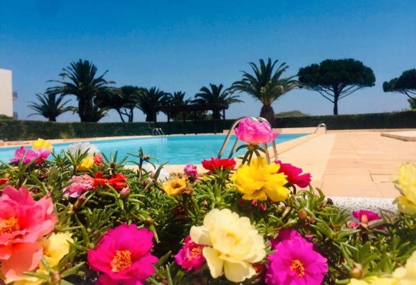 Littlewave- Studio -Terrasse - Plage de Saint-Cyprien