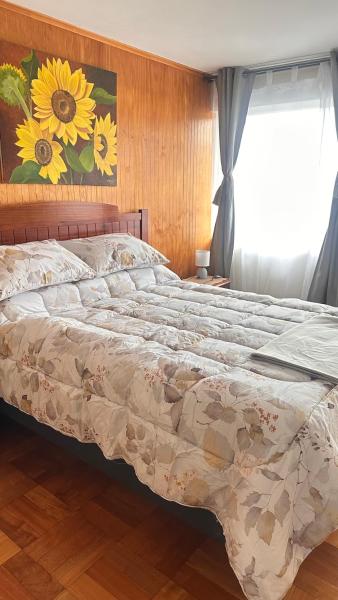 Departamento Pleno Centro Puerto Varas - Puerto Varas