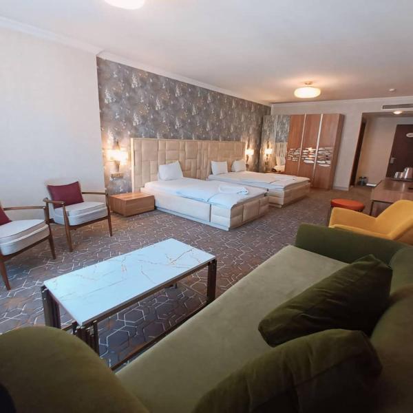 Royal Milano Hotel - Van