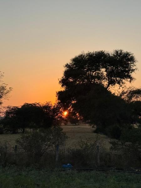 Nahta's Farm - Indore