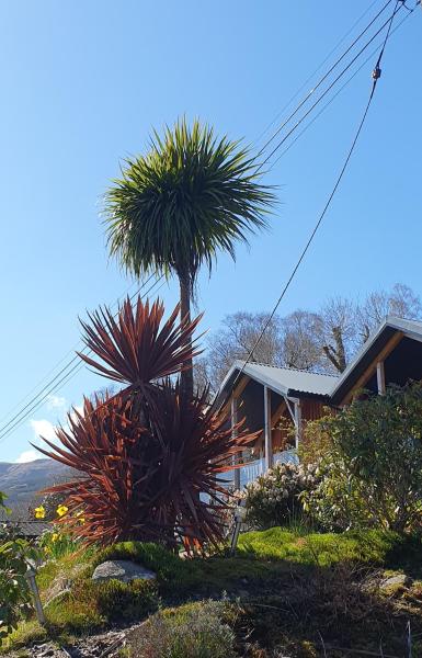 Carrick Chalets - Arrochar